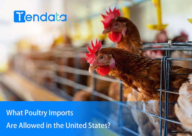 What Poultry Imports Are Allowed in the United States?