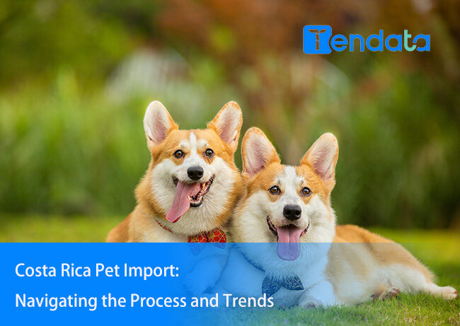 Costa Rica Pet Import: Navigating the Process and Trends