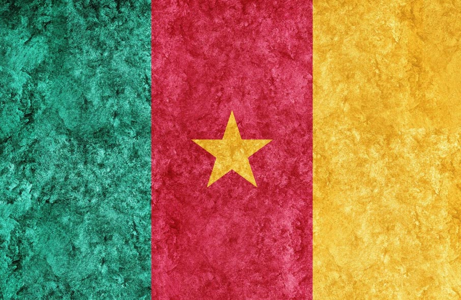 Leading Cameroon's Export by Country & Company in 2024 - Tendata| Tendata